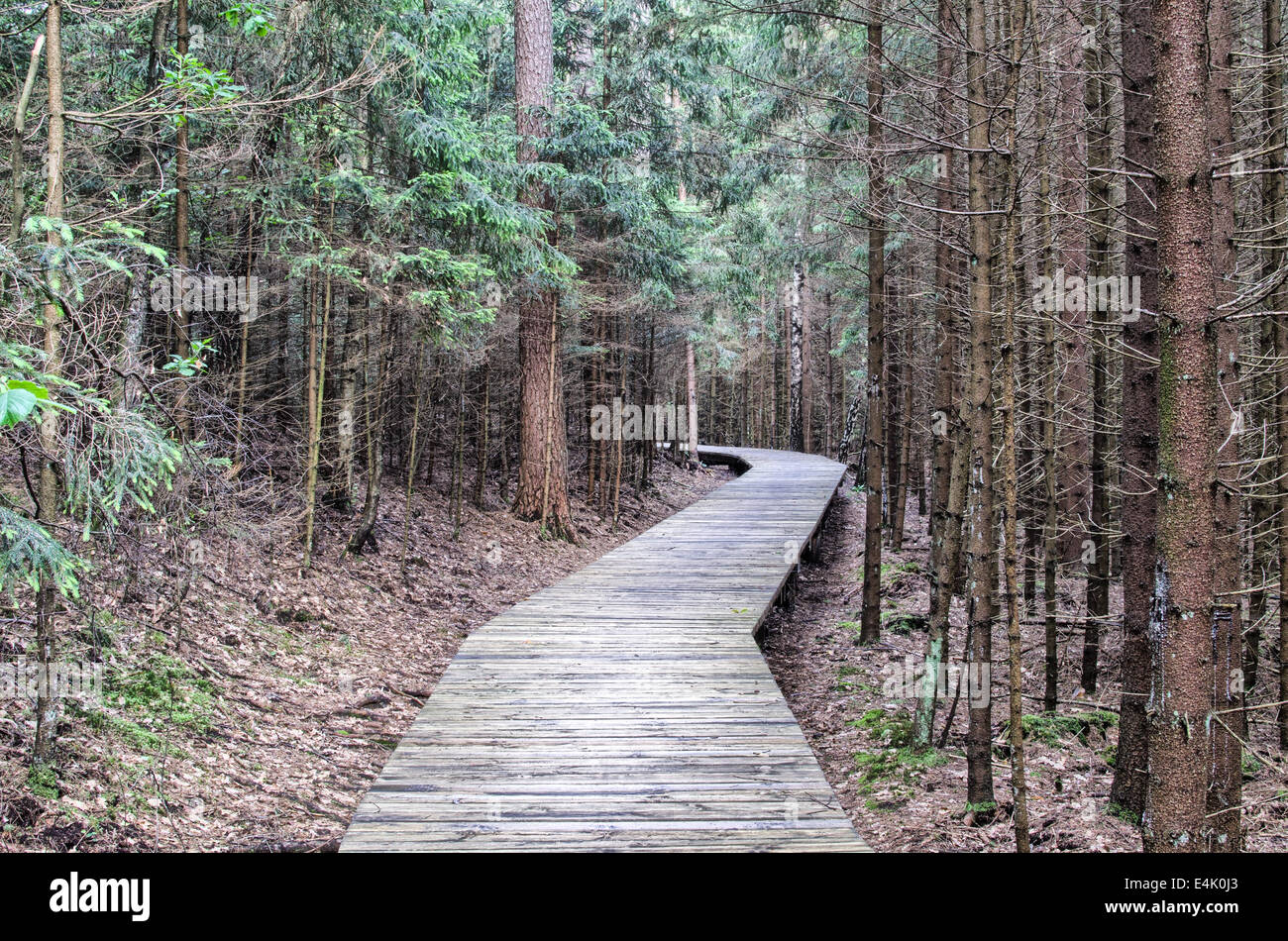 Bridge footpath hi-res stock photography and images - Alamy