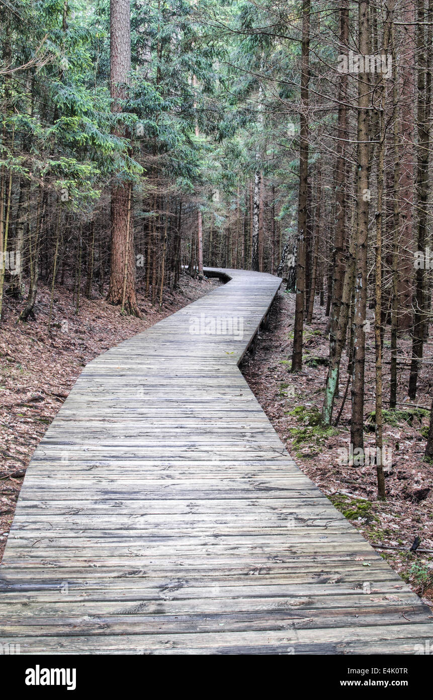 wooden bridge footpath in forest, hdr Stock Photo - Alamy