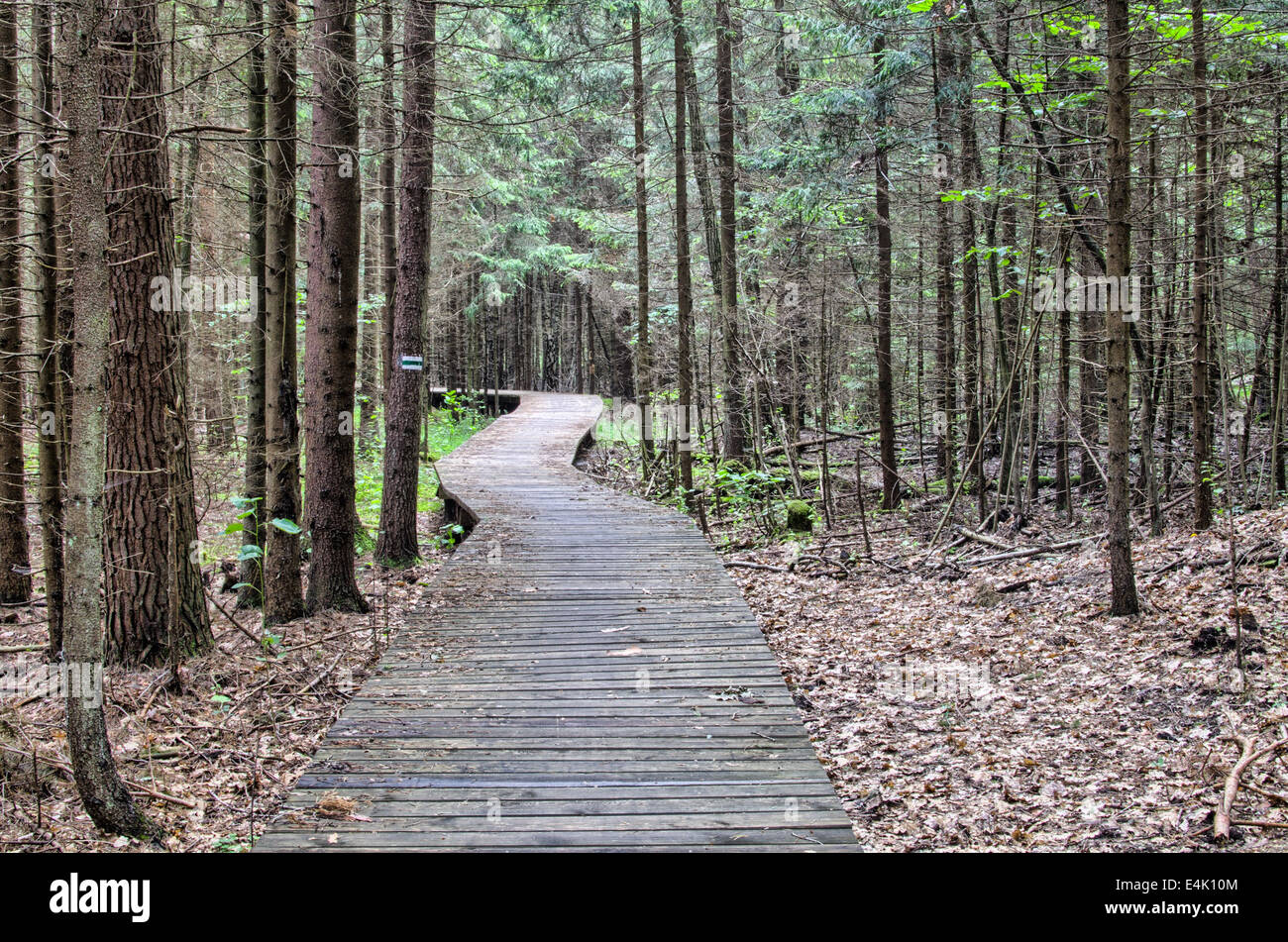 Bridge footpath hi-res stock photography and images - Alamy