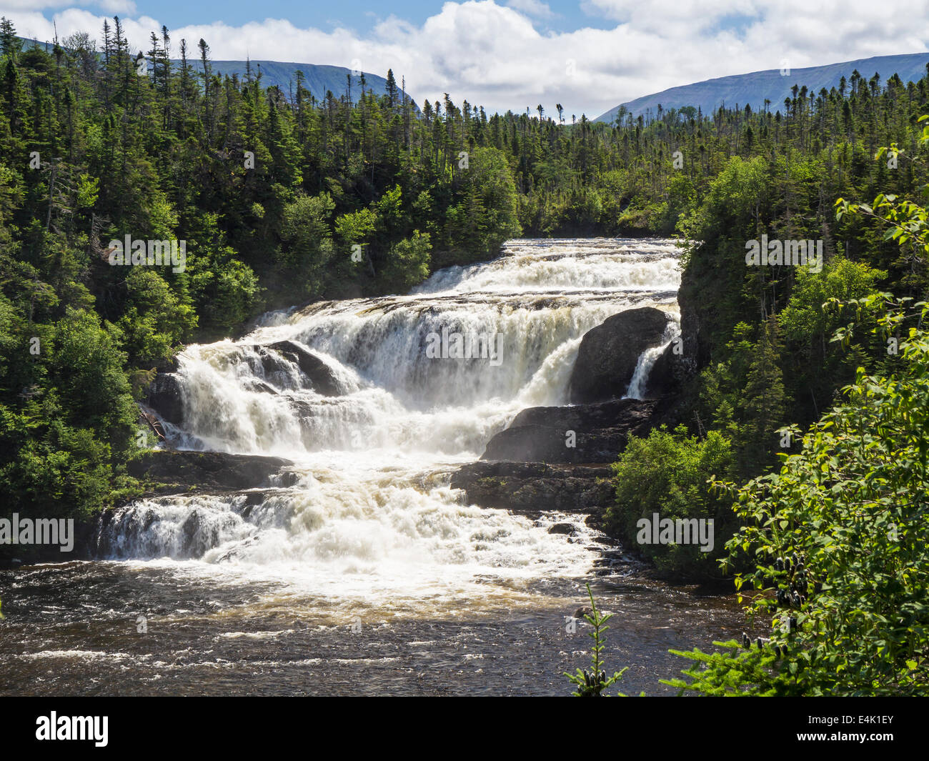 The upper cascades of Baker's Brook Falls surrounded by dense forest in ...