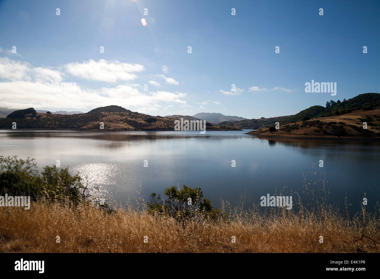 Nicasio Reservoir, Marin County, California, USA Stock Photo - Alamy