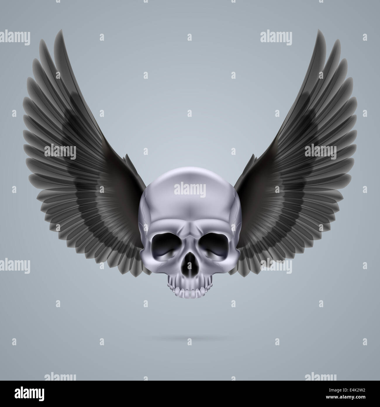 Metal chrome skull with two black crow wings and no jaw bone Stock ...