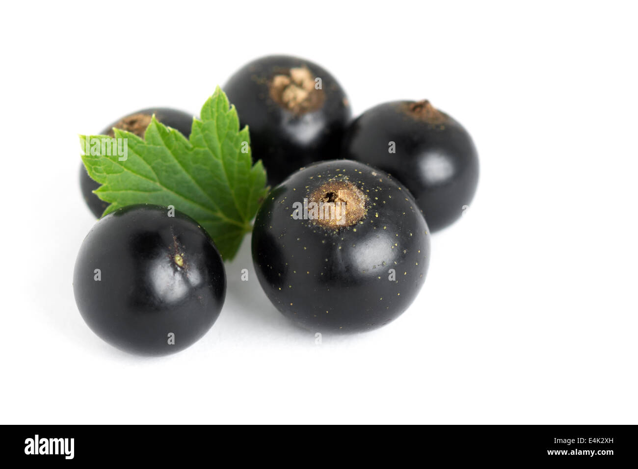 Black currants closeup on white background Stock Photo - Alamy