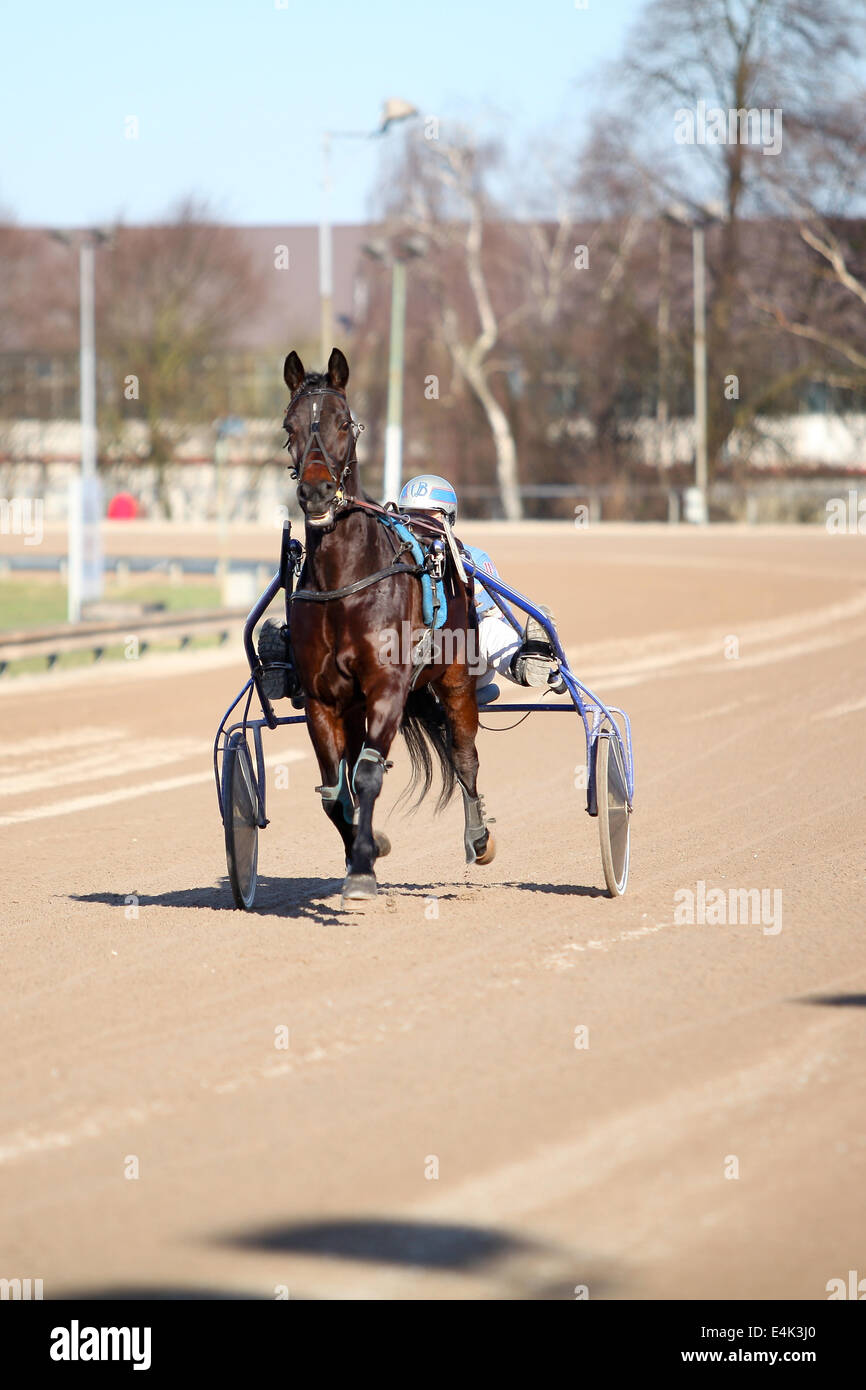 Harness Racing .horse Stock Photo - Alamy