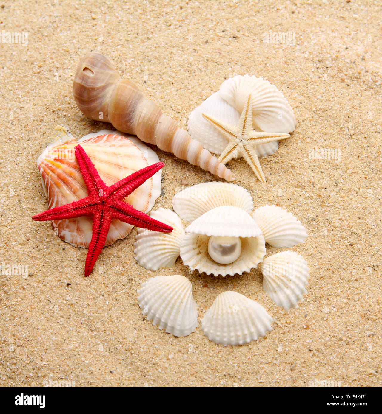 treasure from the sea Stock Photo - Alamy