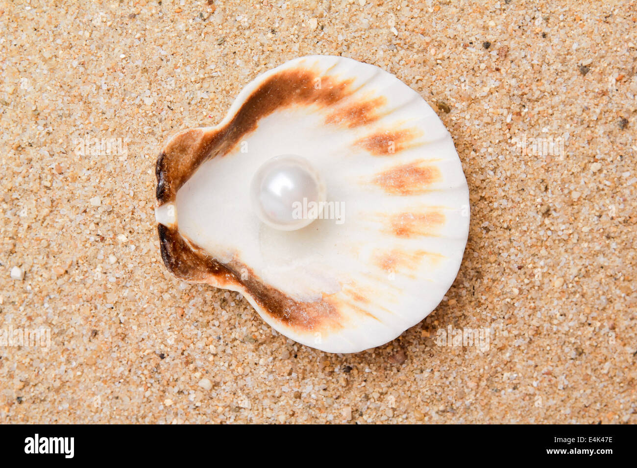 treasure from the sea Stock Photo - Alamy