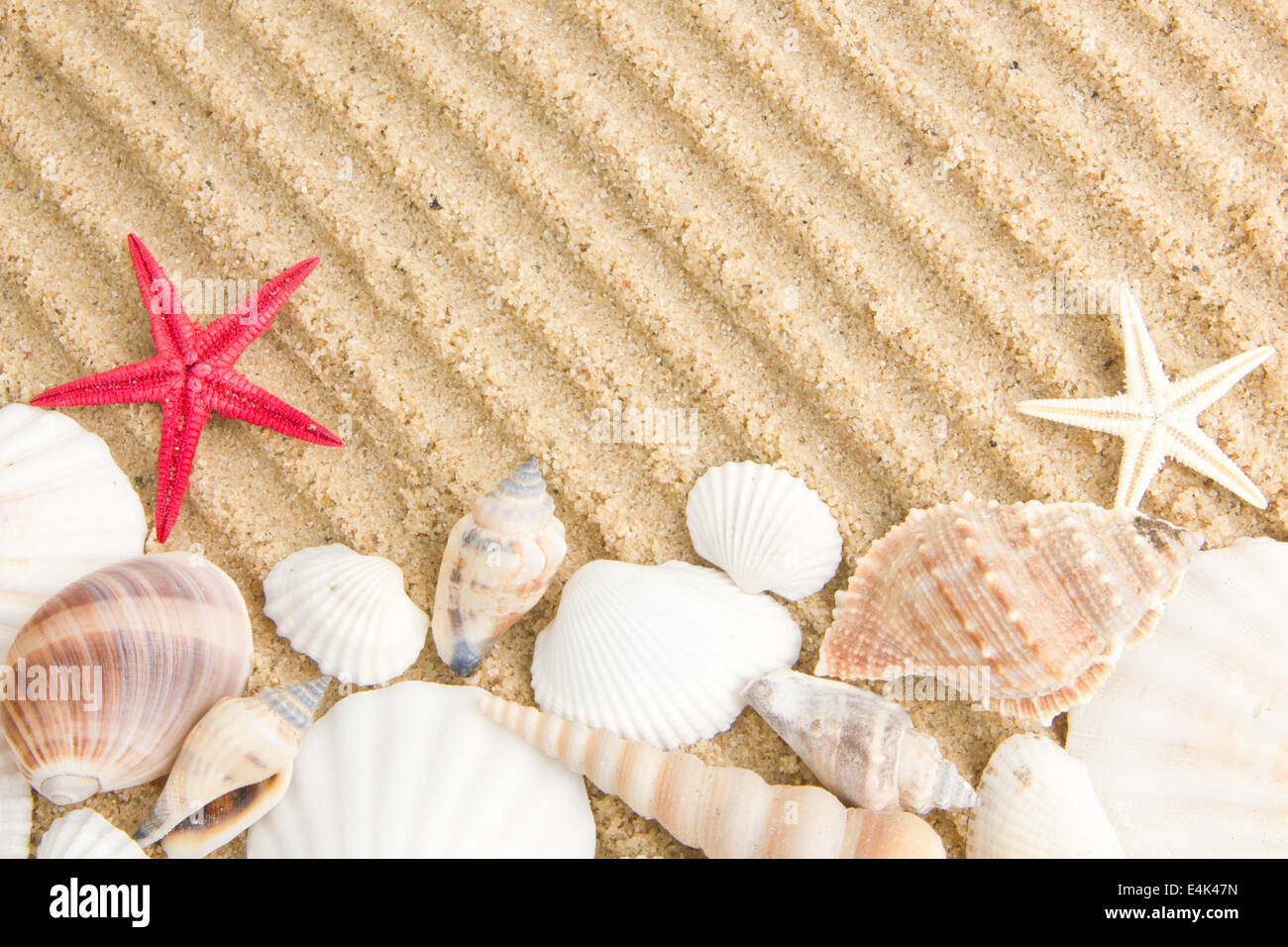 treasure from the sea Stock Photo - Alamy