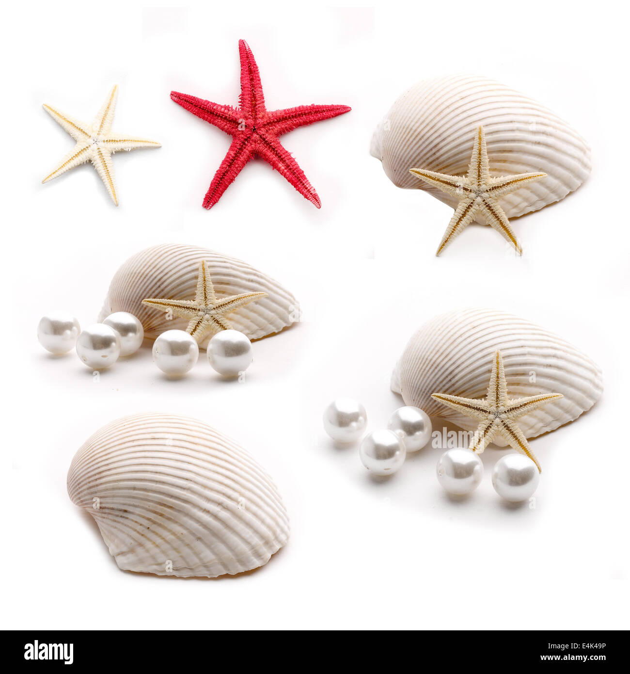 Pearl shells hi-res stock photography and images - Alamy