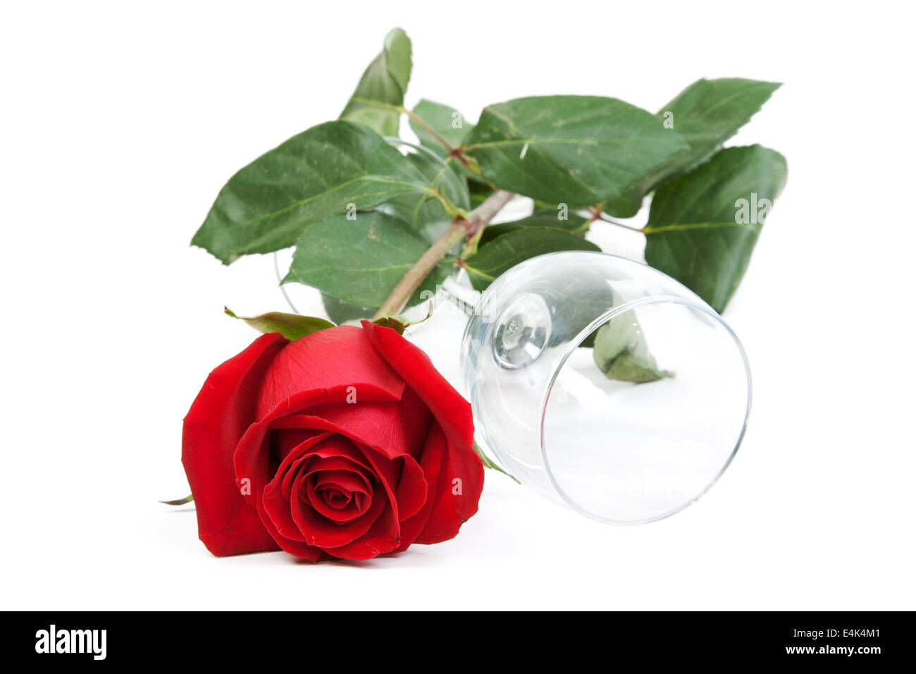 Red rose and a glass cup Stock Photo - Alamy