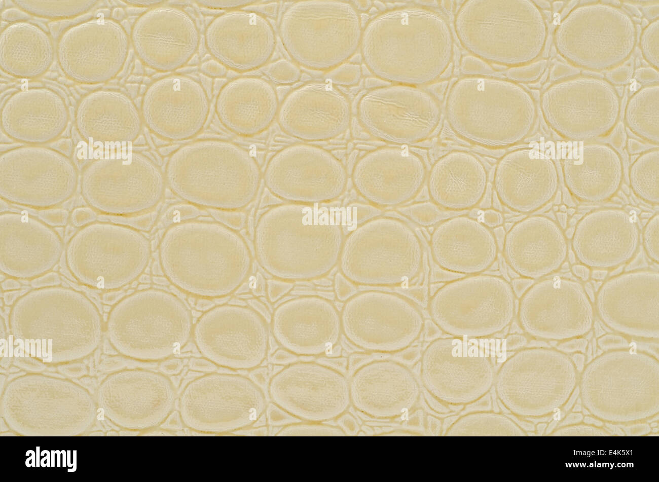 Snakeskin patterns hi-res stock photography and images - Alamy