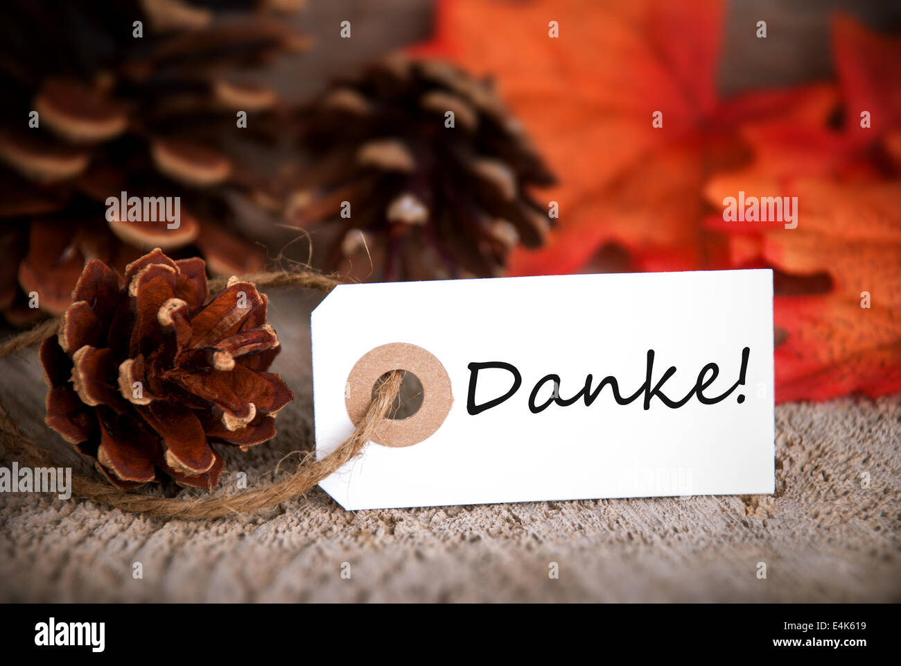 The German Word Danke, which means Thanks, on a Label as Fall ...