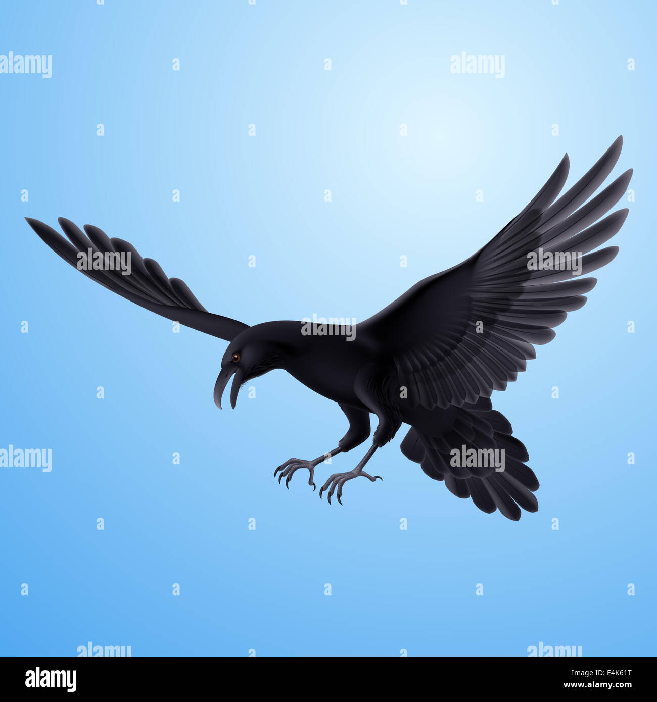 Aggressive flying raven on blue sky background Stock Photo - Alamy