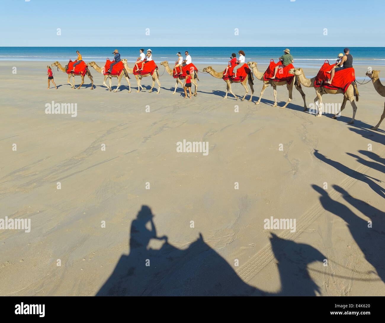 A camel train on Cable Beach in Broome, Western Australia Stock Photo ...