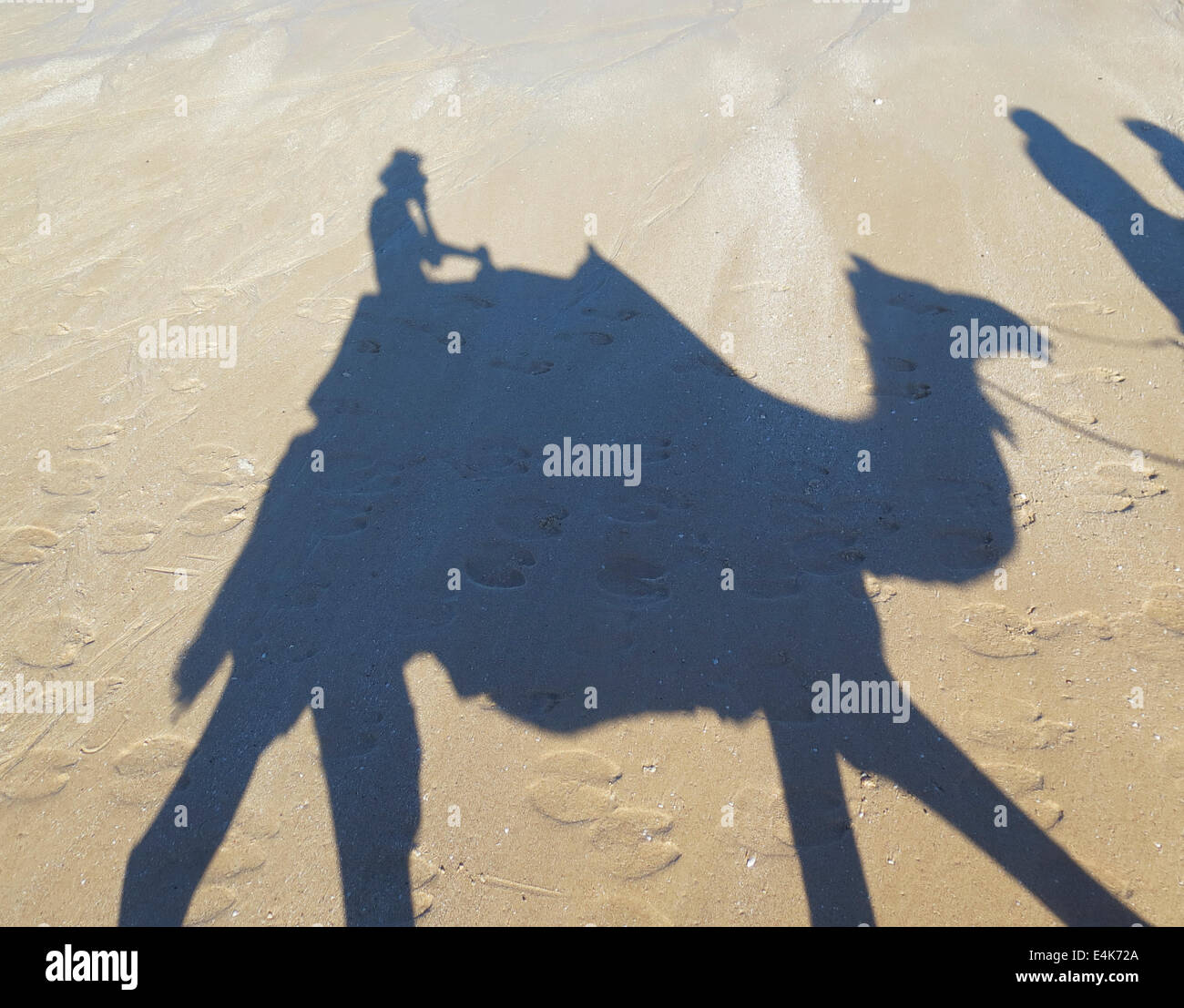 Rider in shadow hi-res stock photography and images - Alamy