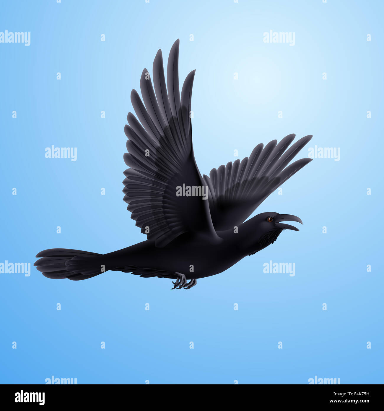 Black Raven Flying
