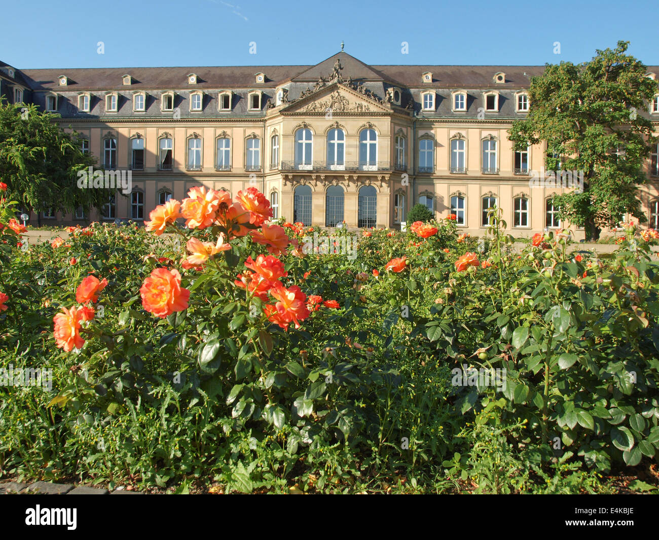 Neues Schloss (New Castle), Stuttgart Stock Photo - Alamy