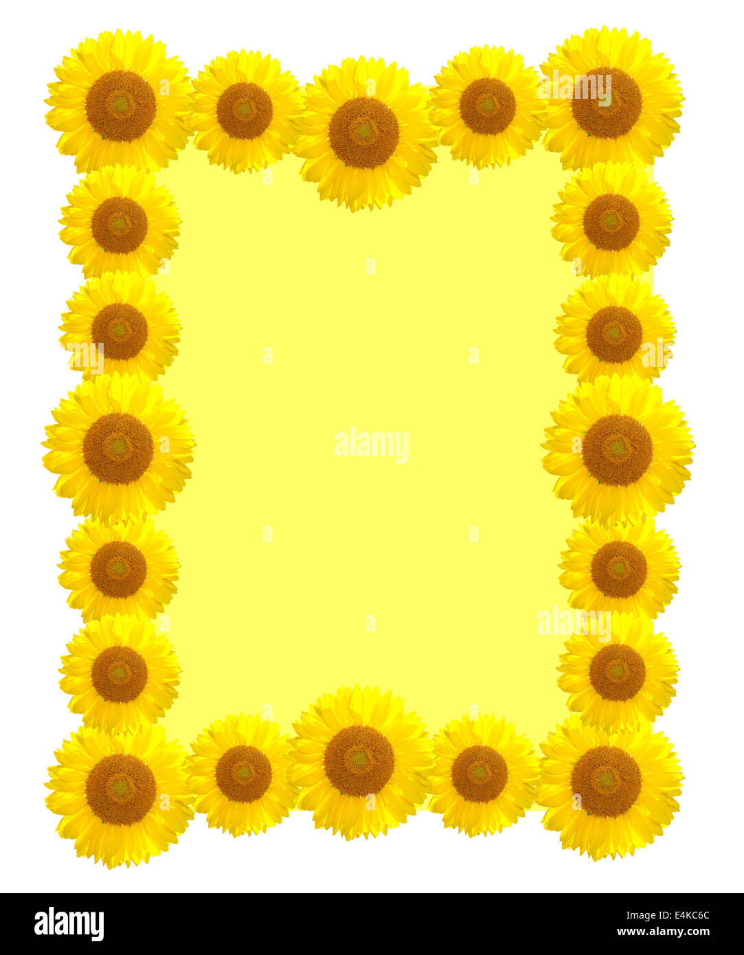 Sunflower frame hi-res stock photography and images - Alamy