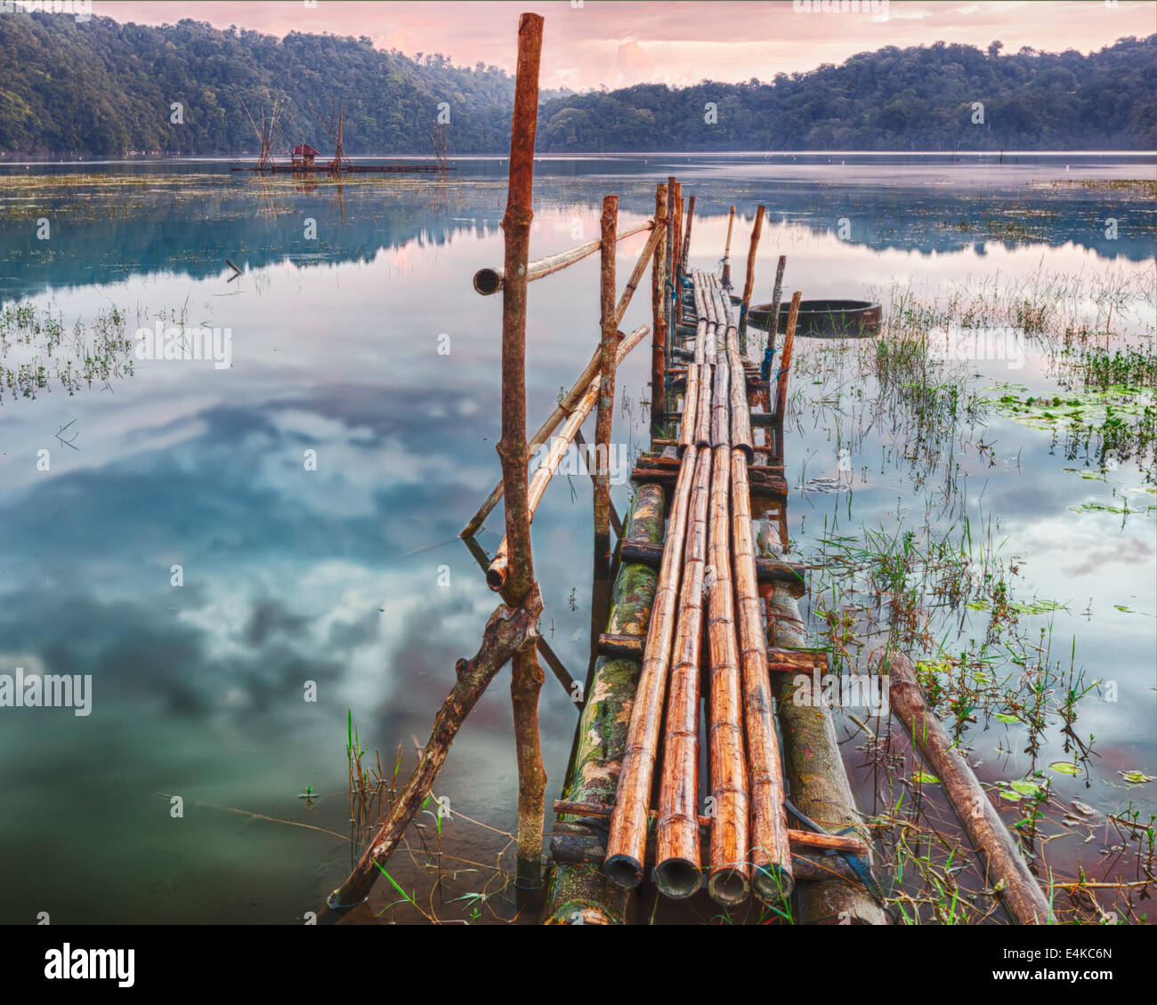 Tamblingan lake hi-res stock photography and images - Alamy