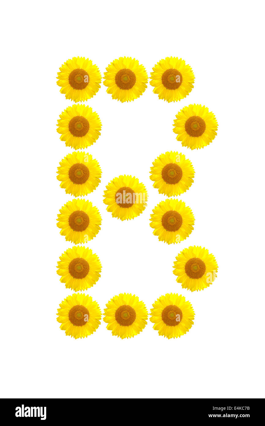 Flower alphabet white background hi-res stock photography and images ...