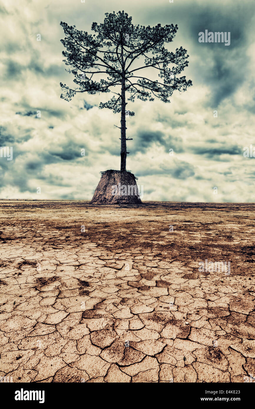 The last tree Stock Photo - Alamy