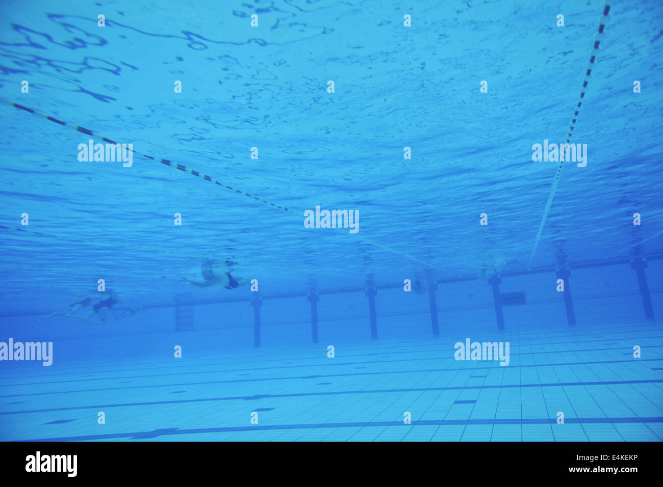 swimming pool underwater Stock Photo - Alamy