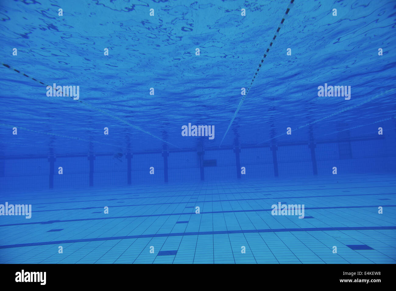 swimming pool underwater Stock Photo - Alamy