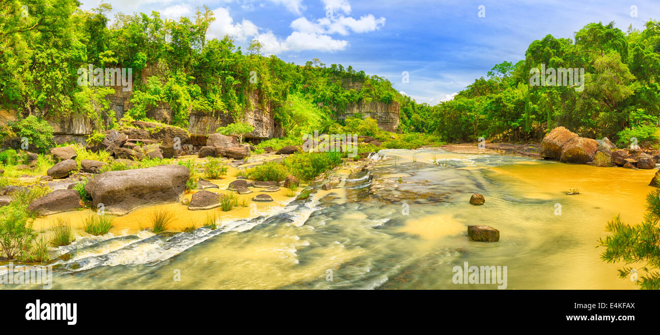 River in jungle Stock Photo - Alamy