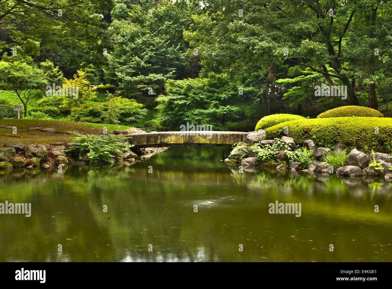 Japanese garden wood bridge Stock Photo - Alamy