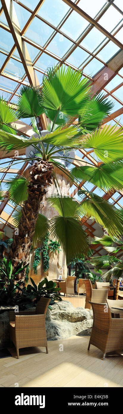 tropical restaurant indoor Stock Photo - Alamy