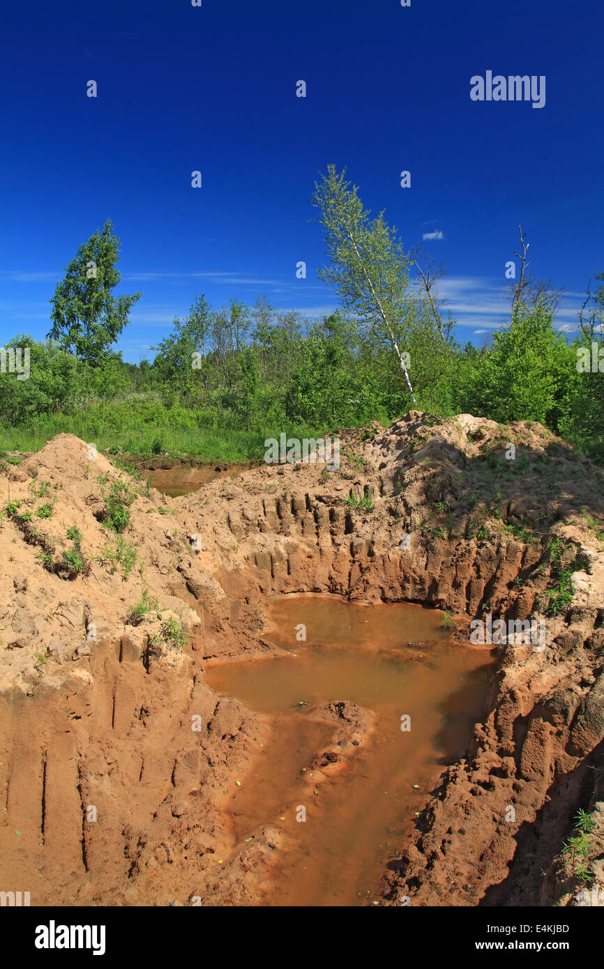 old sandy quarry in green wood Stock Photo - Alamy