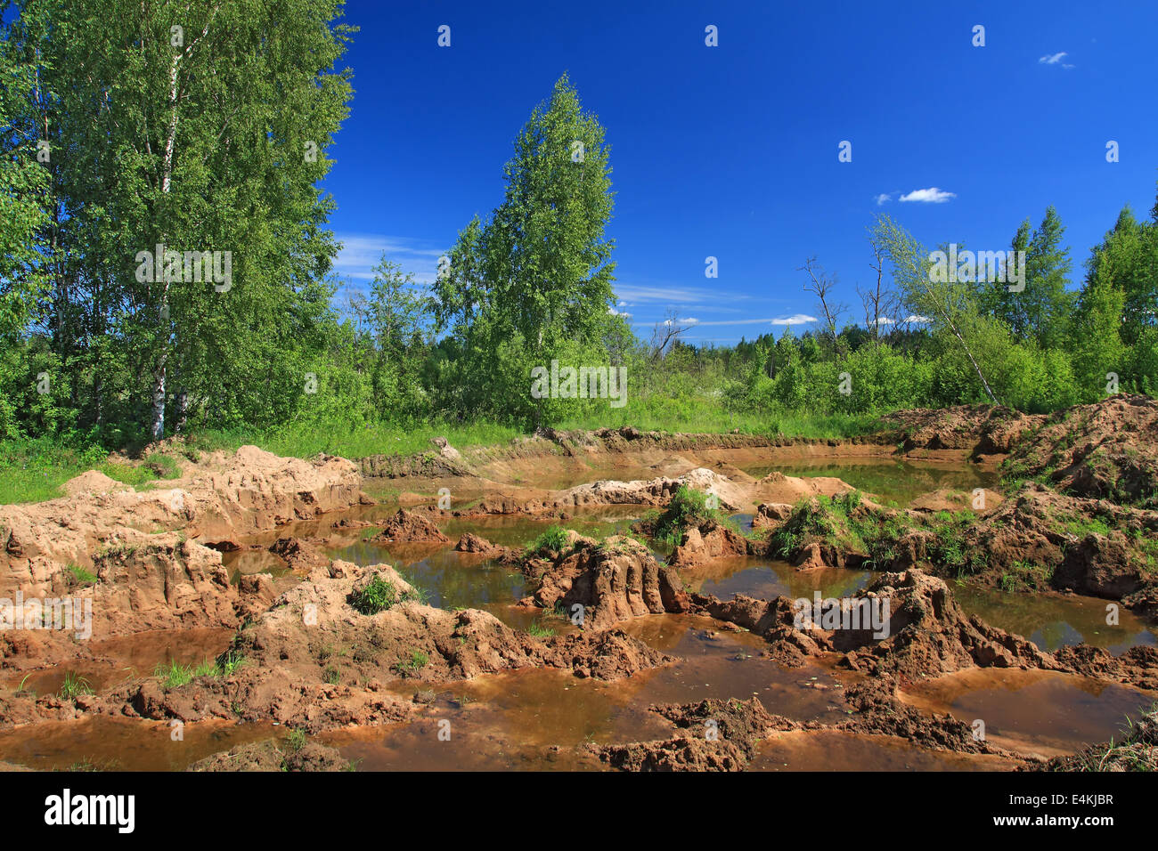 old sandy quarry in green wood Stock Photo - Alamy