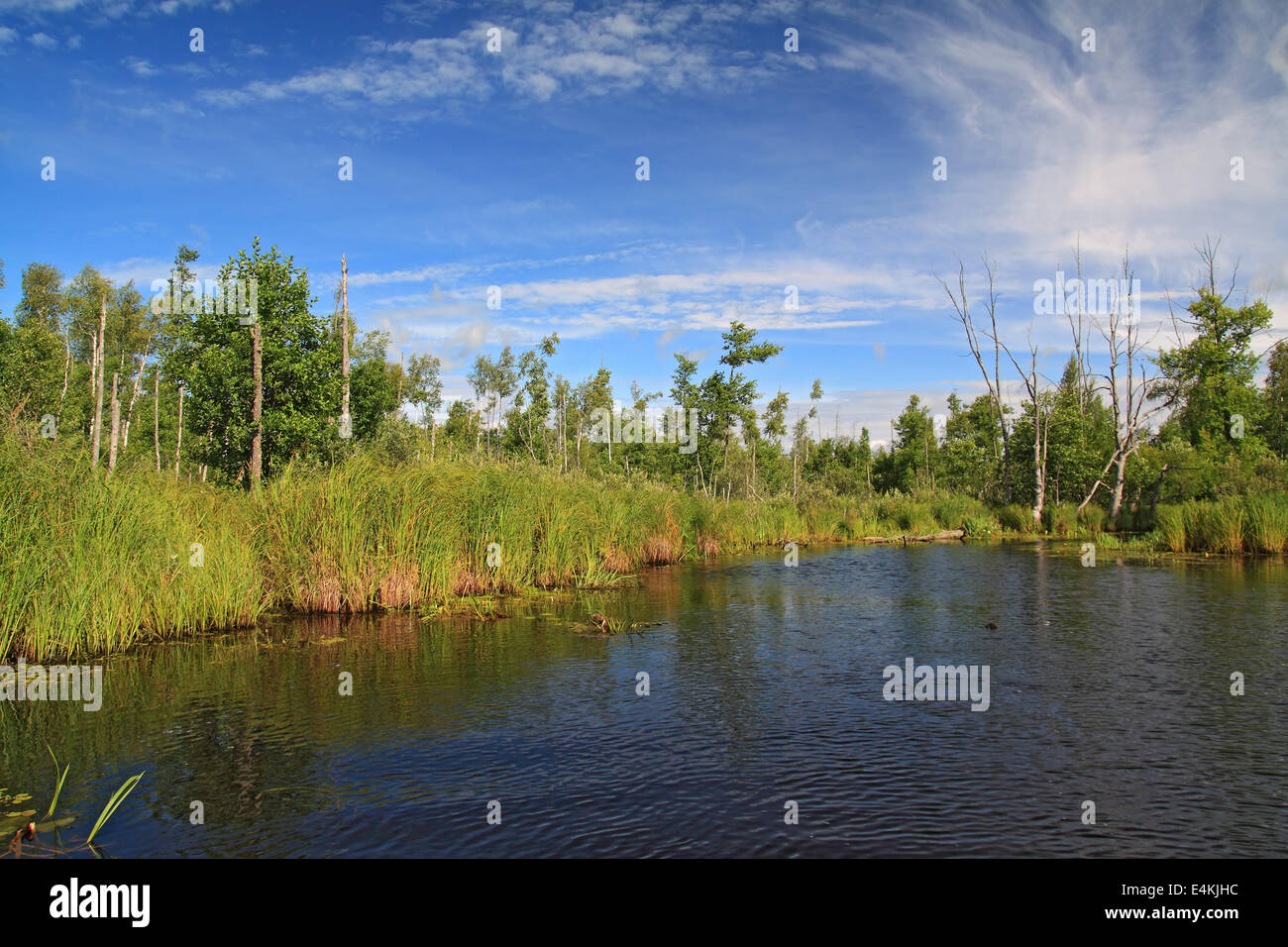 Timber river russia hi-res stock photography and images - Alamy