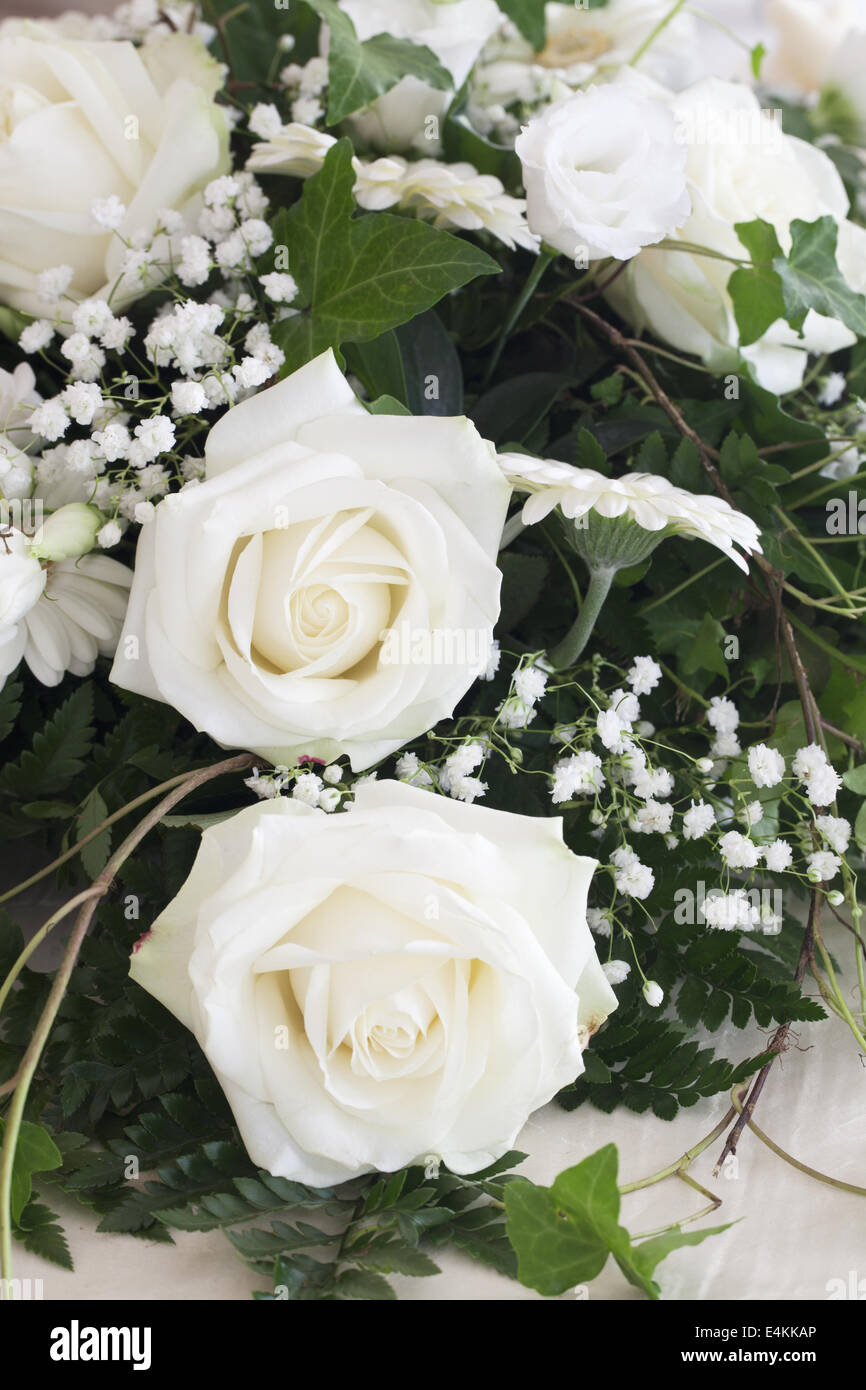 Union rose hi-res stock photography and images - Alamy