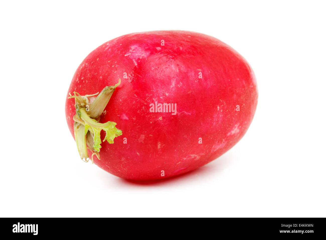 Simple radish Cut Out Stock Images & Pictures - Alamy