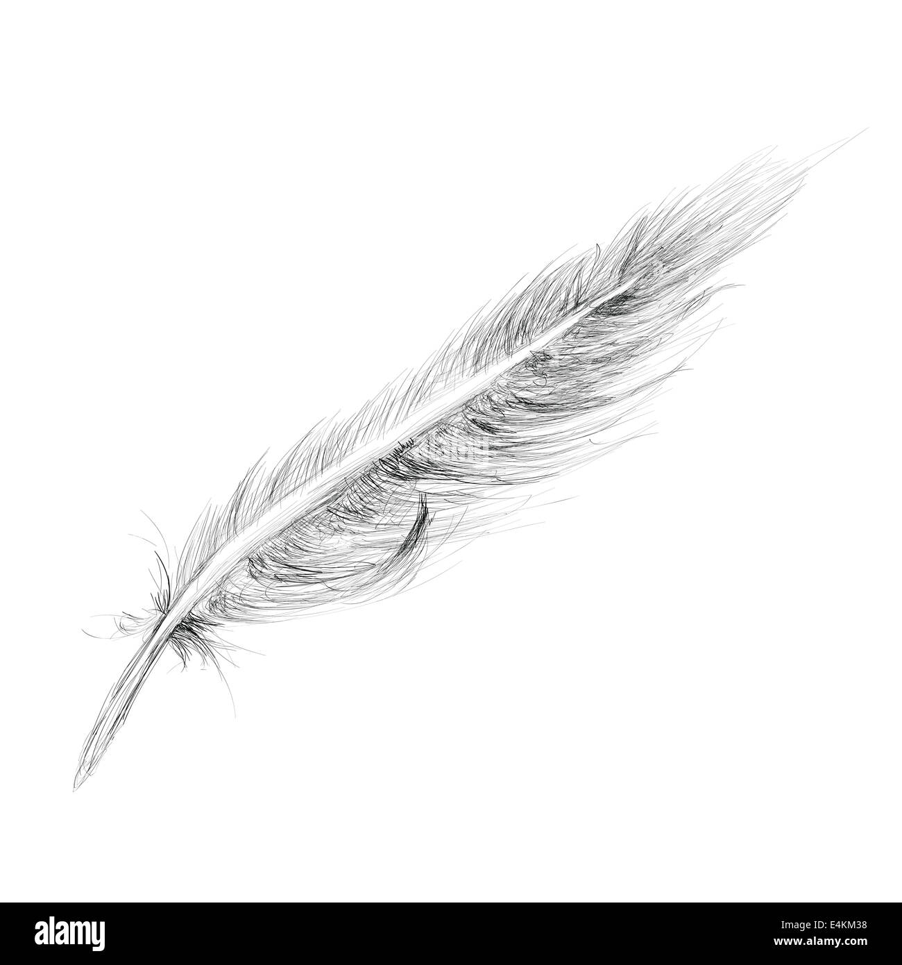 Hand drawn sketch on Cut Out Stock Images & Pictures - Alamy