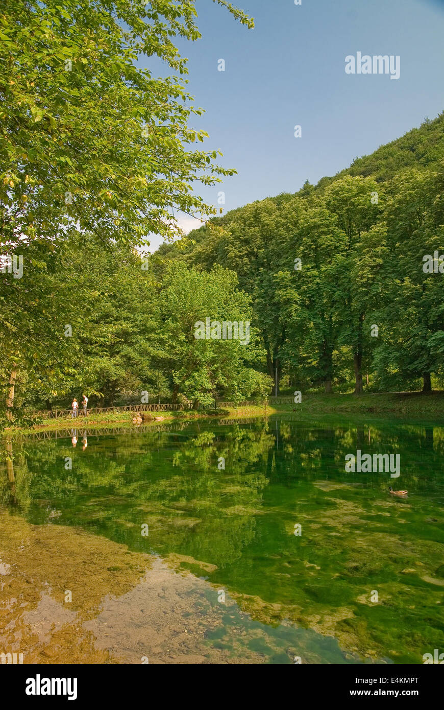 lake in pure nature Stock Photo - Alamy