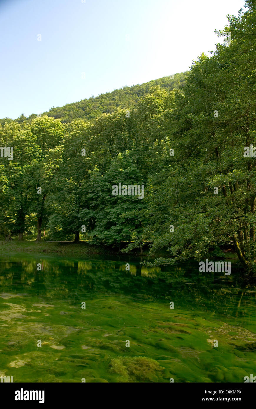 lake in pure nature Stock Photo - Alamy