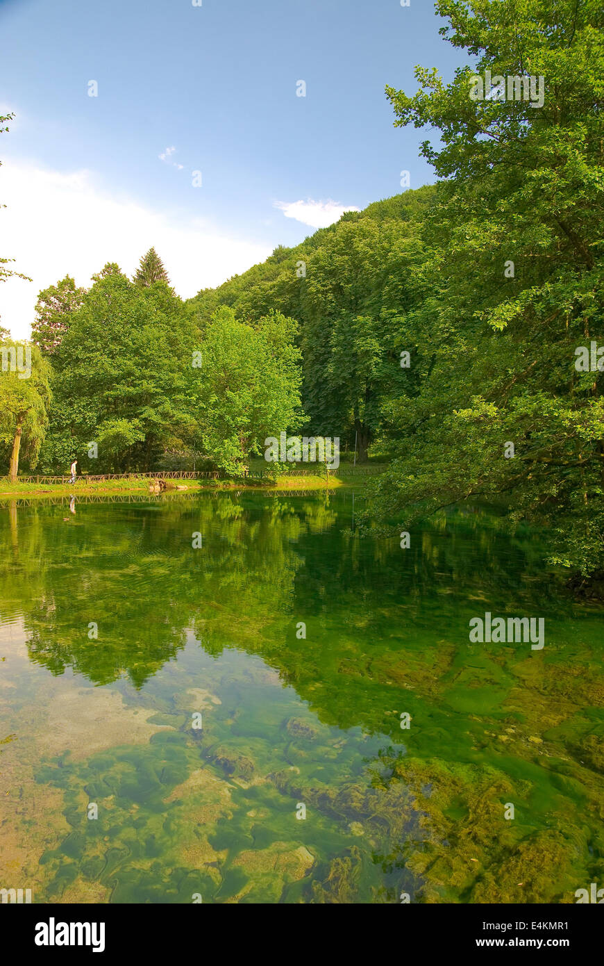 lake in pure nature Stock Photo - Alamy
