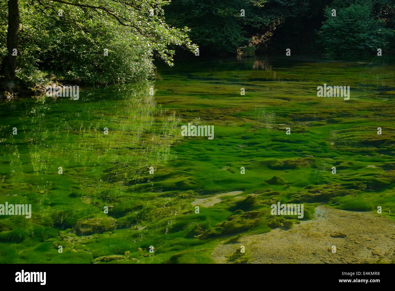 lake in pure nature Stock Photo - Alamy