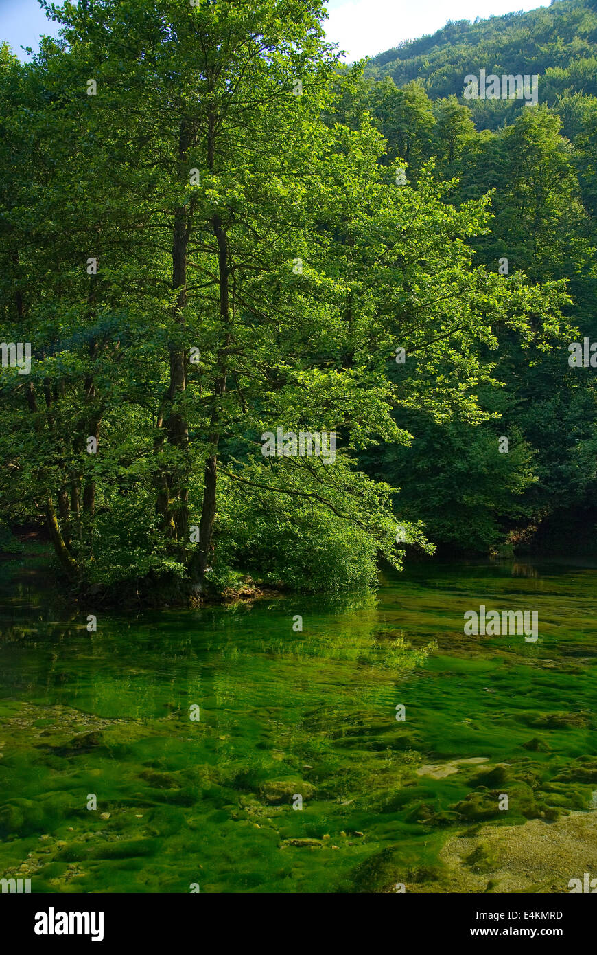lake in pure nature Stock Photo - Alamy