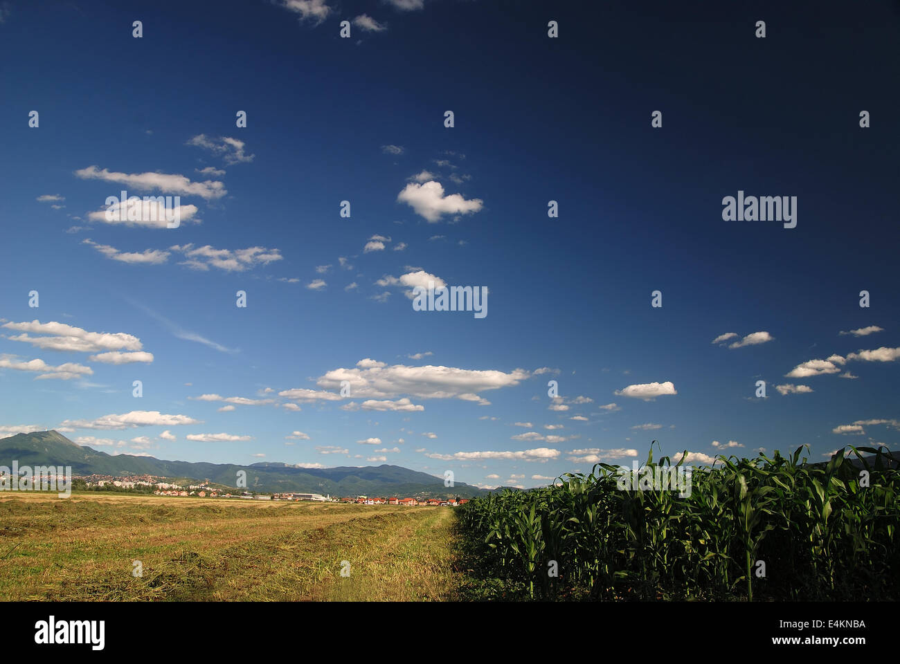 sunny day and dramatic sky Stock Photo - Alamy