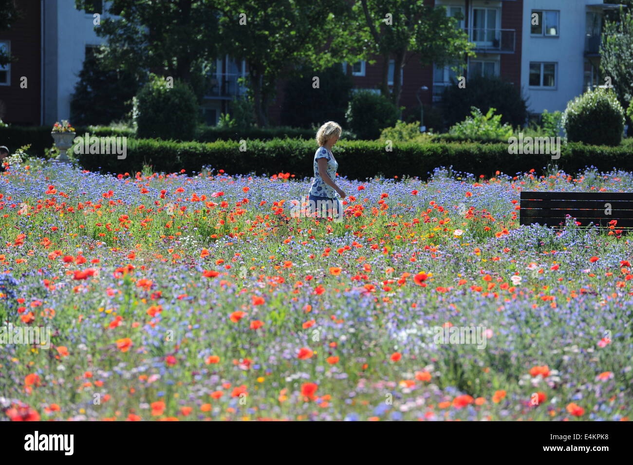Brighton, Sussex, UK. 14th July, 2014. People enjoy the hot summer ...