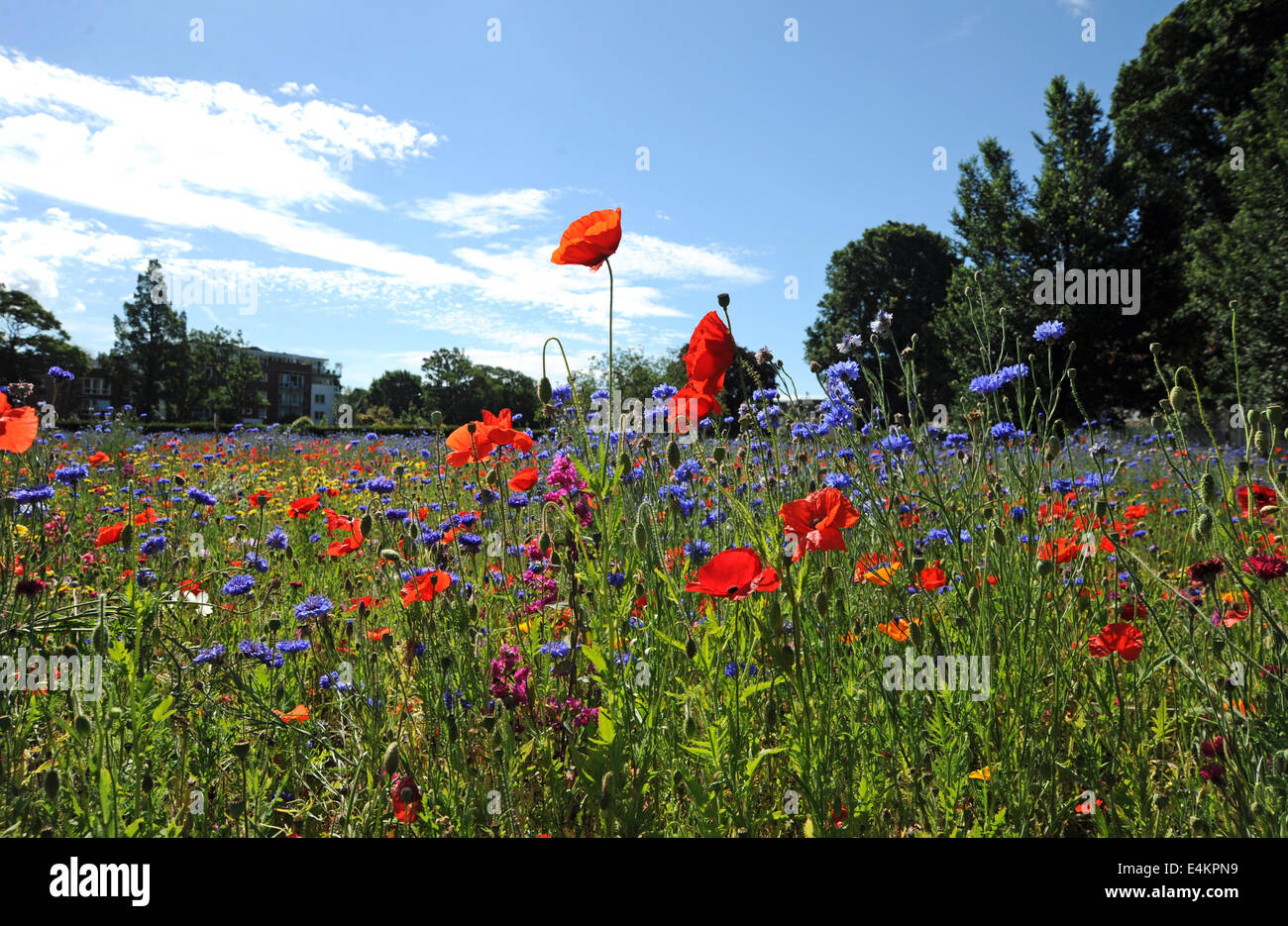 Brighton, Sussex, UK. 14th July, 2014. People enjoy the hot summer ...