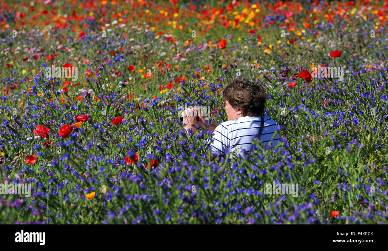 Brighton, Sussex, UK. 14th July, 2014. People enjoy the hot summer ...