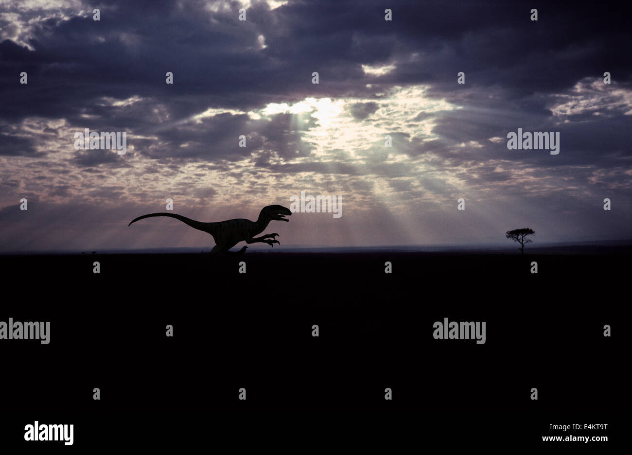 Velociraptor dinosaurier hi-res stock photography and images - Alamy