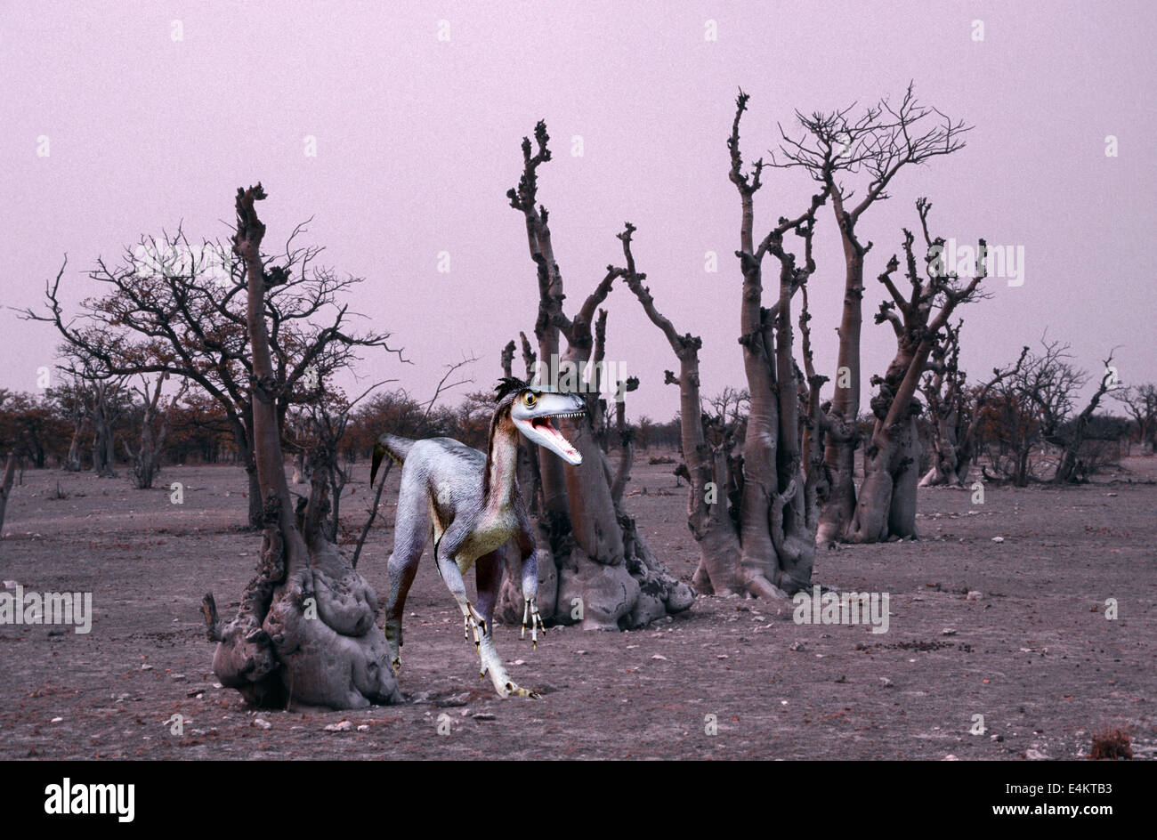 Troodon hi-res stock photography and images - Alamy