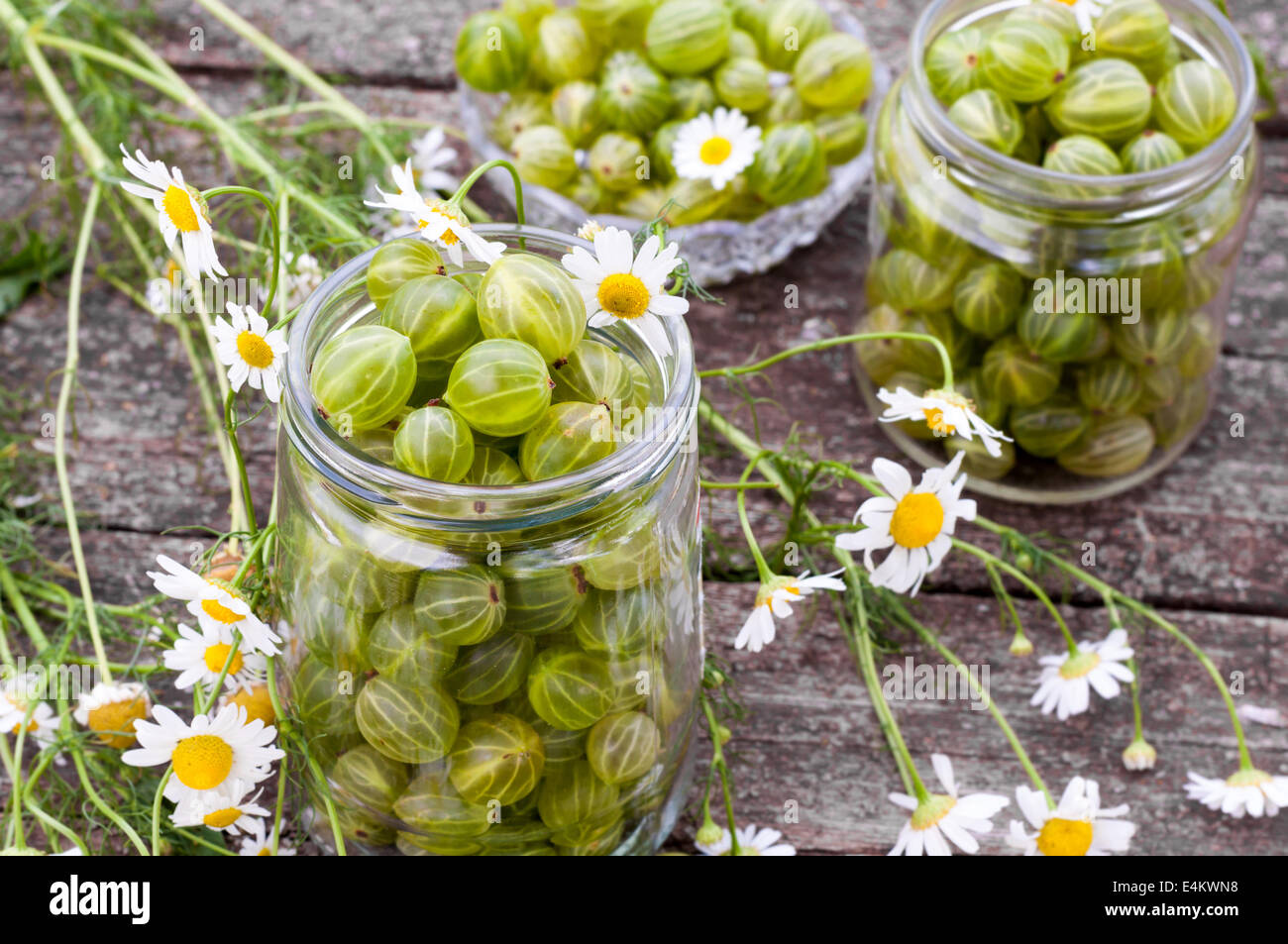 Fresh gooseberries in glass jars Stock Photo - Alamy