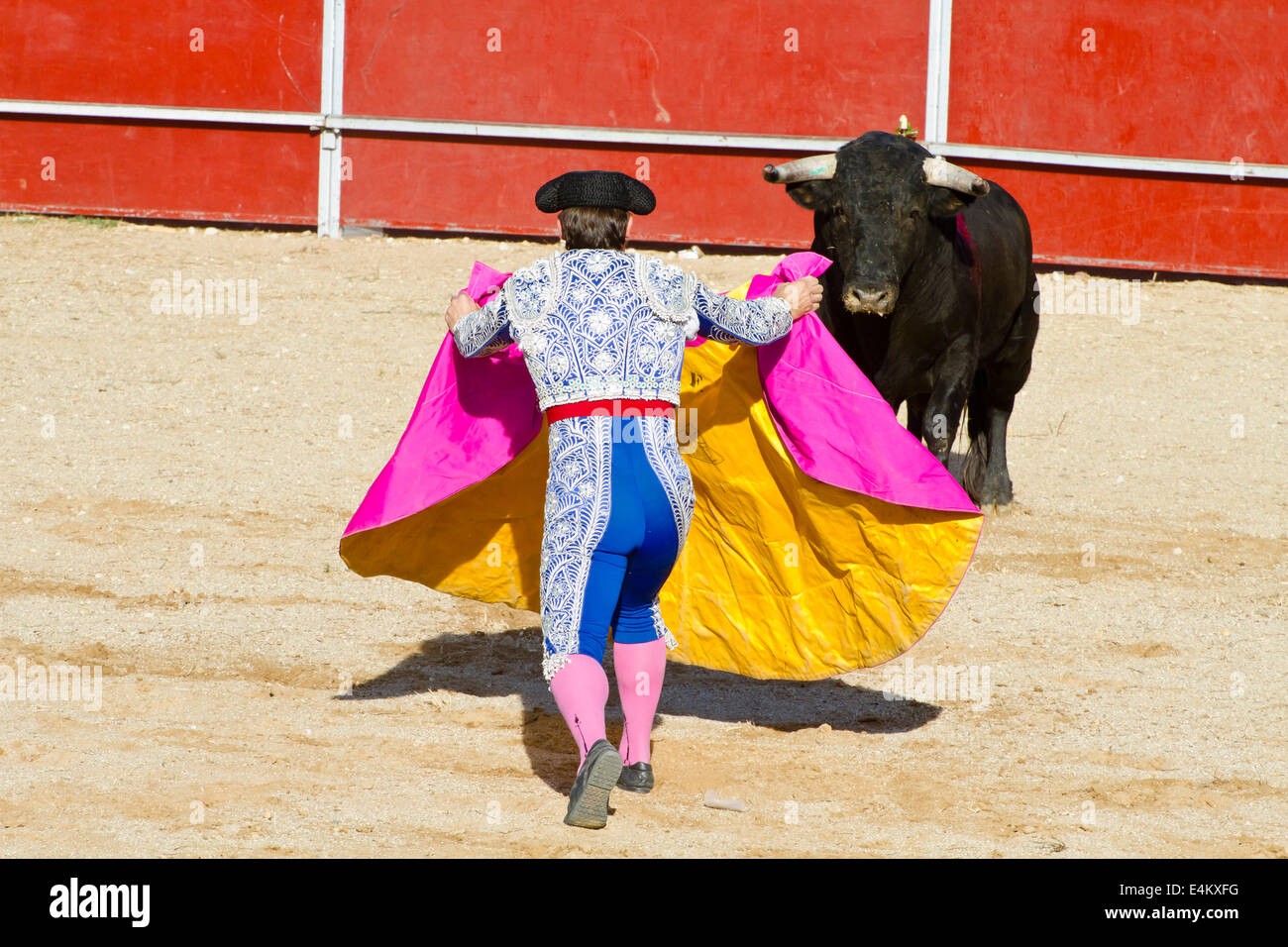 Torero and bull in bullfight. Madrid, Spain Stock Photo - Alamy