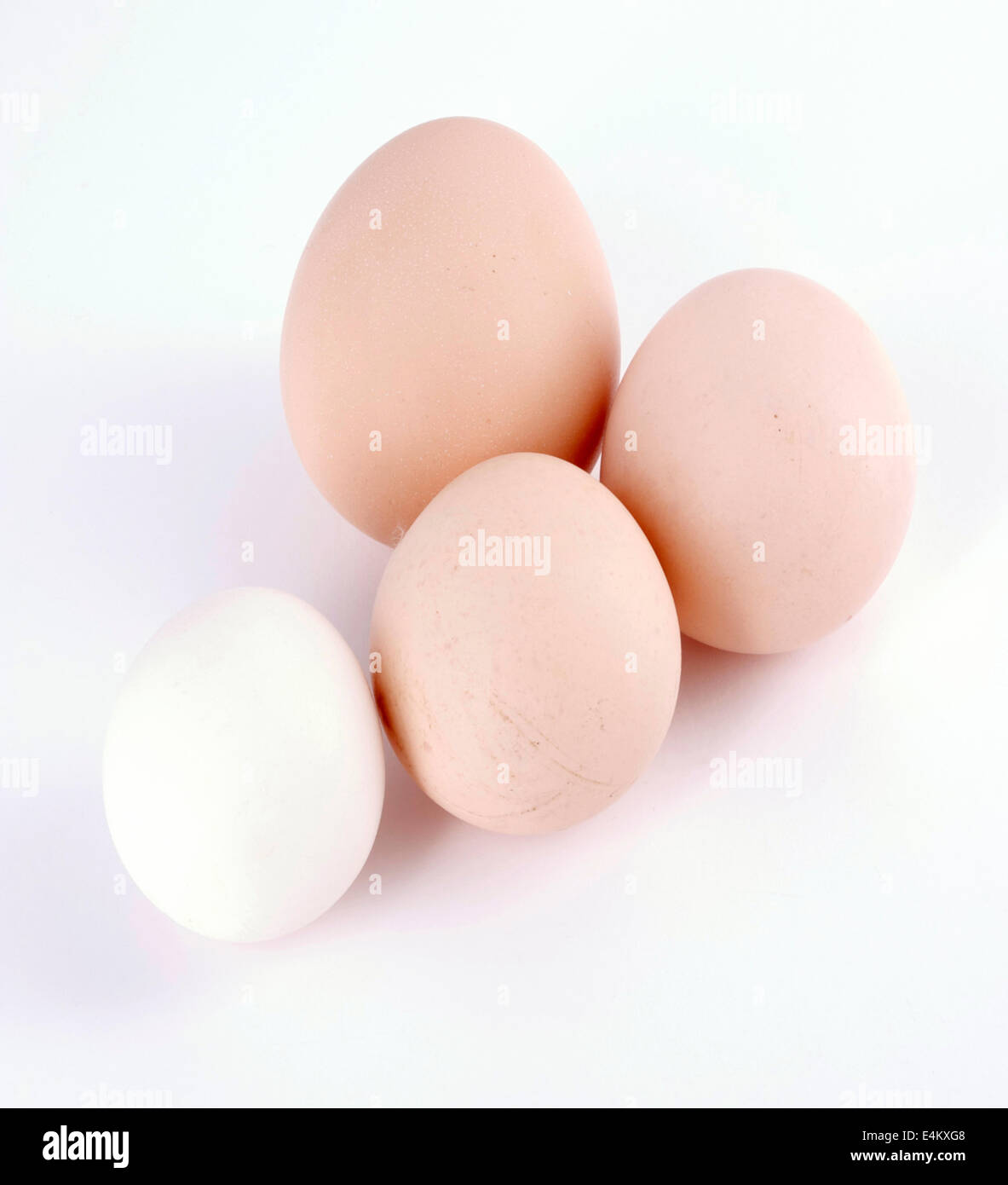 Four free range hens eggs in a group on a white background Stock Photo ...