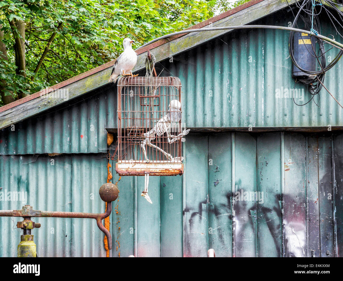 Captive Skeleton in a rusty cage and stuffed gull outside quirky artist ...